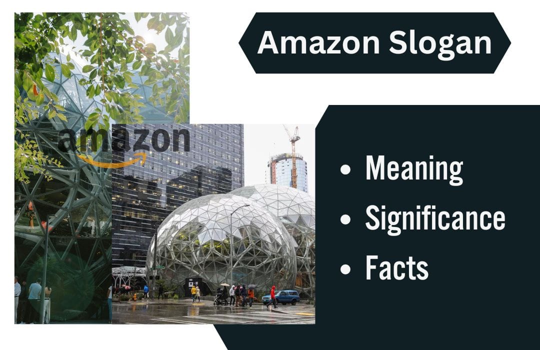 The Amazon Slogan - Meaning, Facts And Branding Benefits