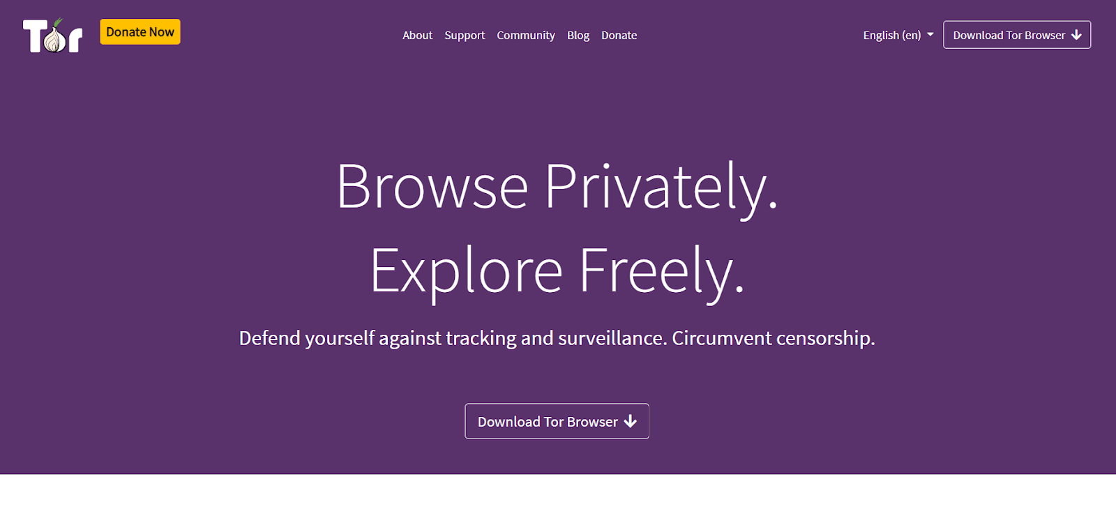 Navigating The Dark Web: Your Guide To Safe Surfing Online