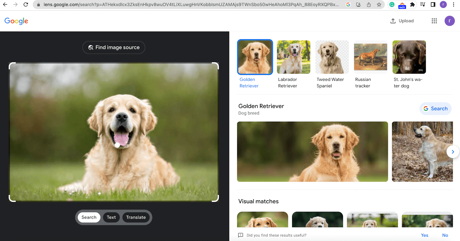 Google Reverse Image Search: Unveiling Image Sources & Attribution