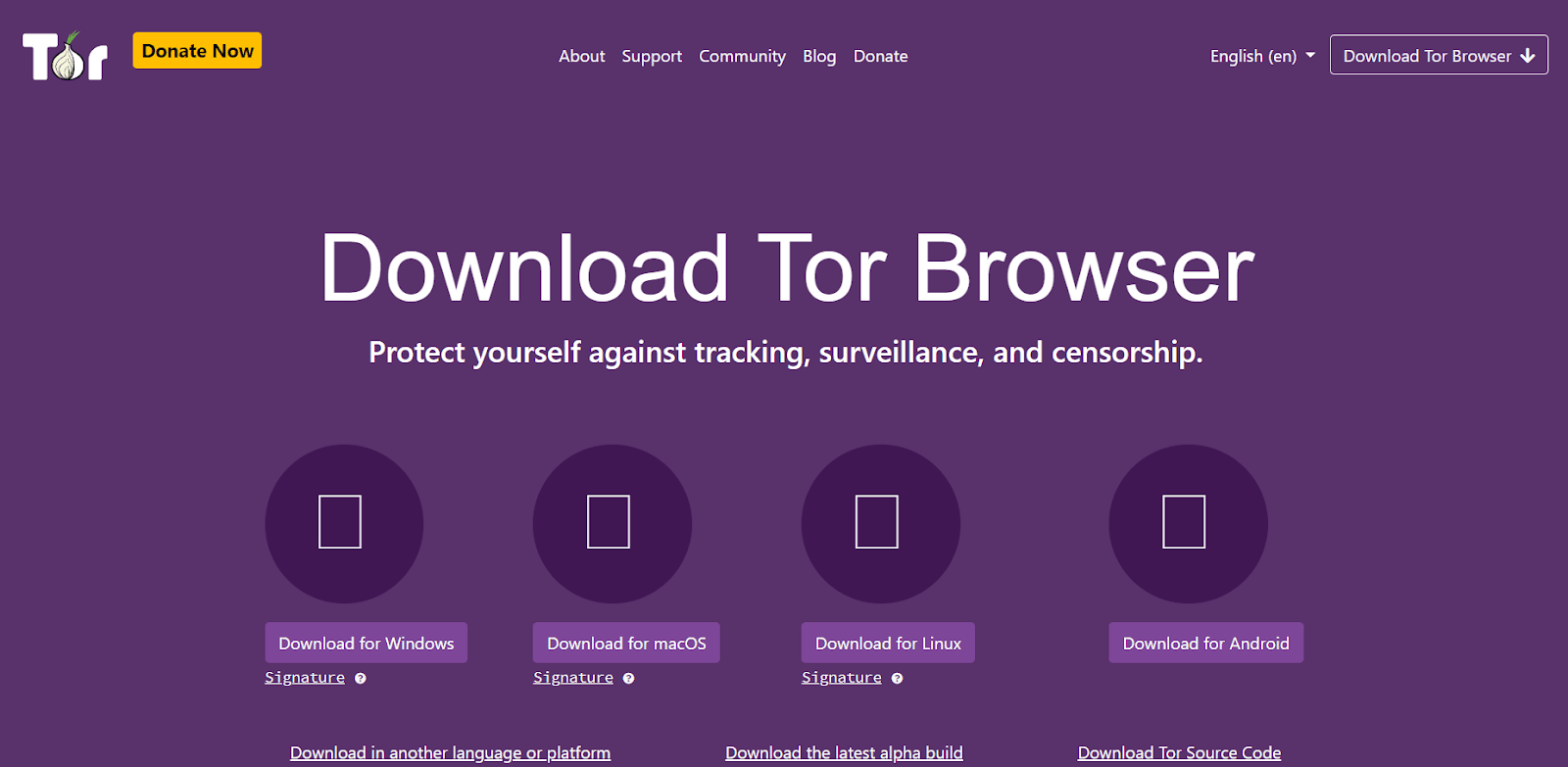 Navigating The Dark Web: Your Guide To Safe Surfing Online