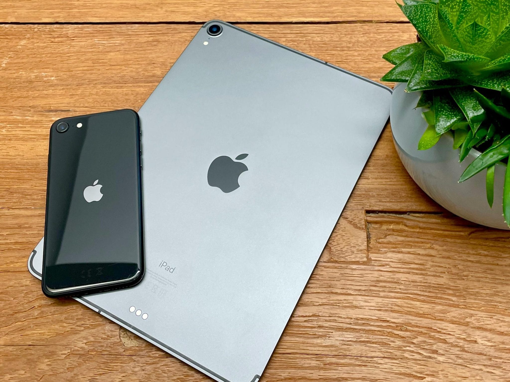 The Apple Logo - All You Need To Know | Facts And Fiction